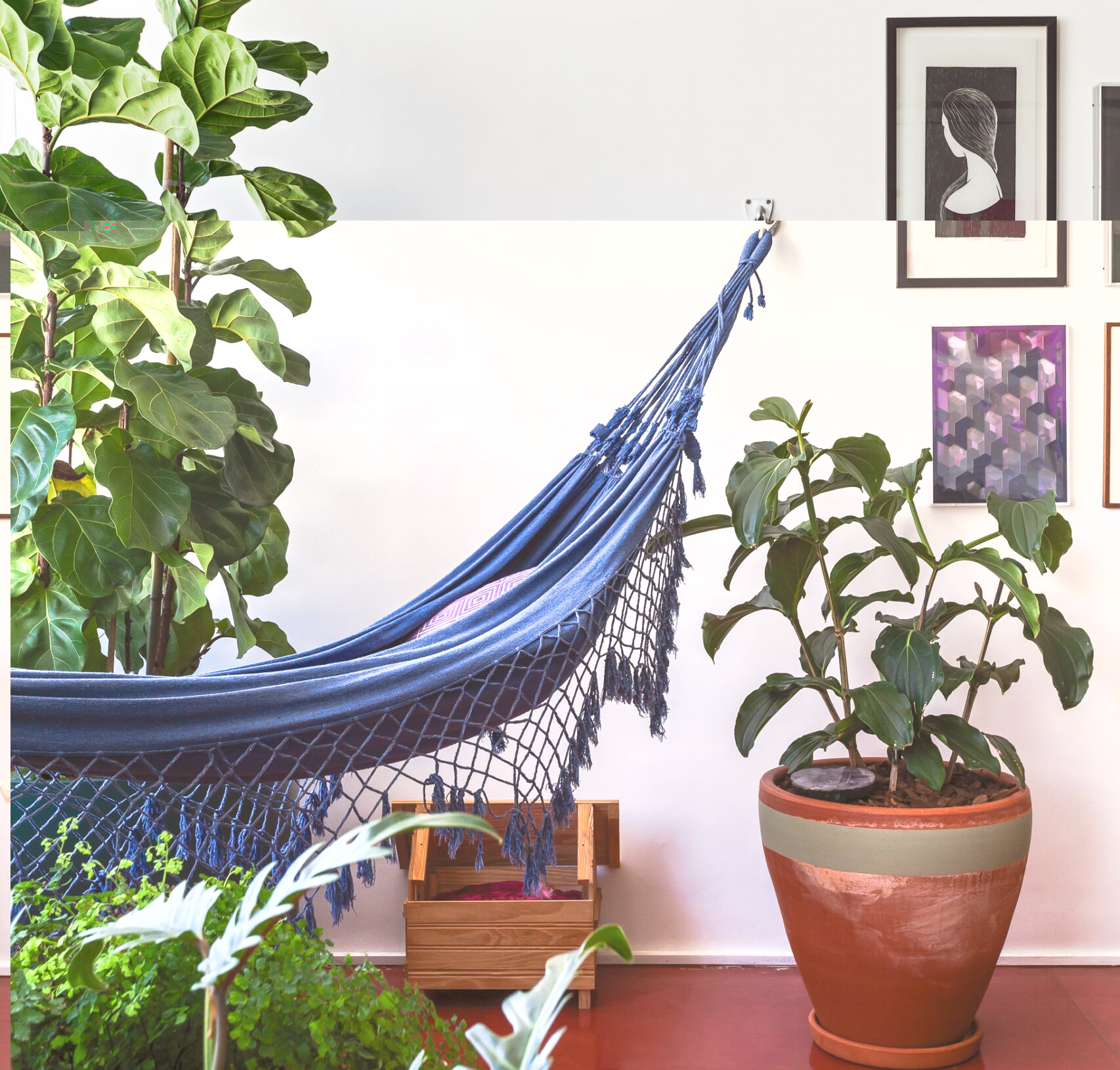 Que tal ter uma rede em casa? | Casa é melhor